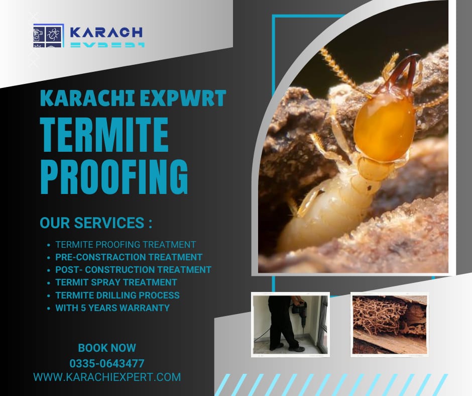 Termite Fumigation in karachi | Termite Proofing services
